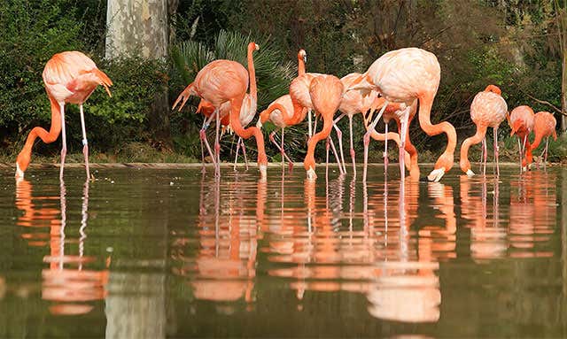 Barcelona Zoo - Opening times, tickets and address Barcelona Zoo - Opening times, tickets and address